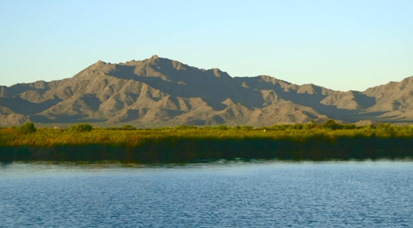 Tres Rios Wetlands - Arizona PBS
