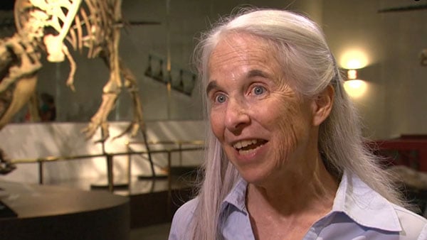 Arizona Museum of Natural History - Arizona PBS