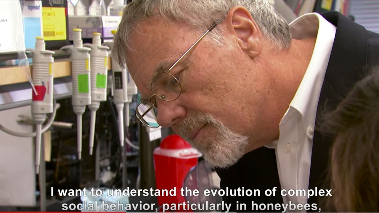 Robert Page - Arizona PBS