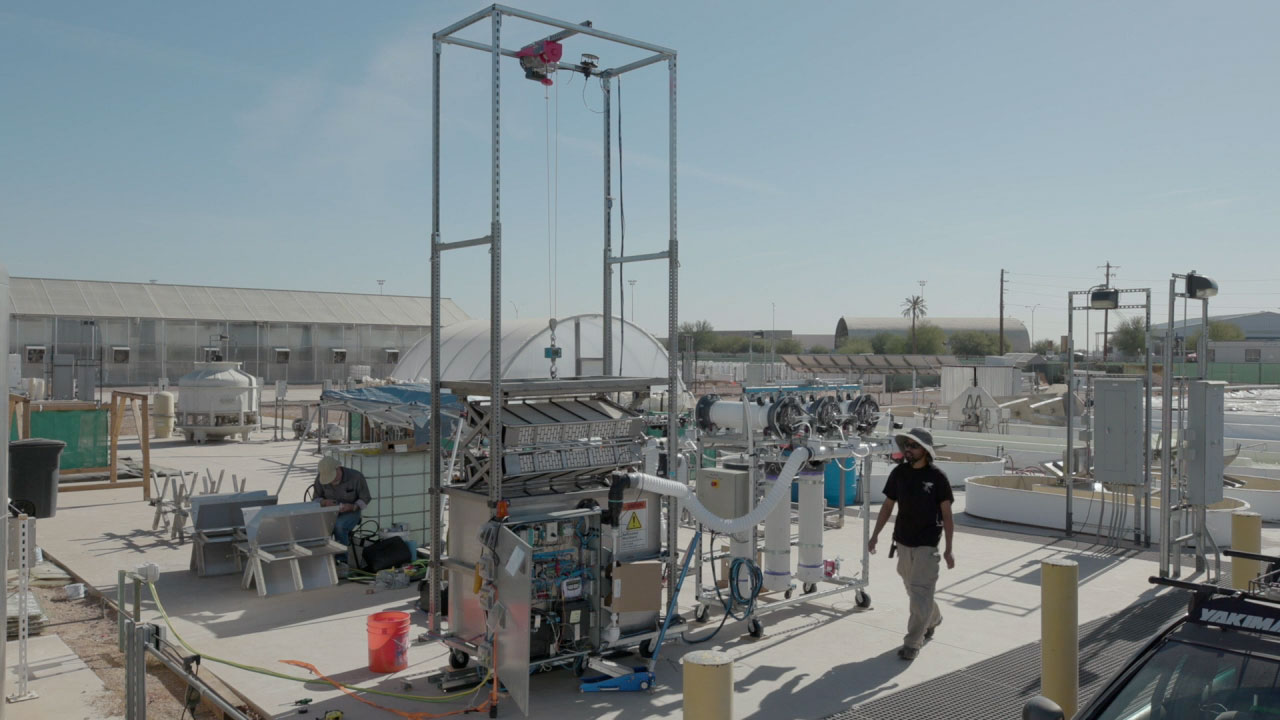 Catalyst: Reducing carbon emissions with artificial trees - Arizona PBS