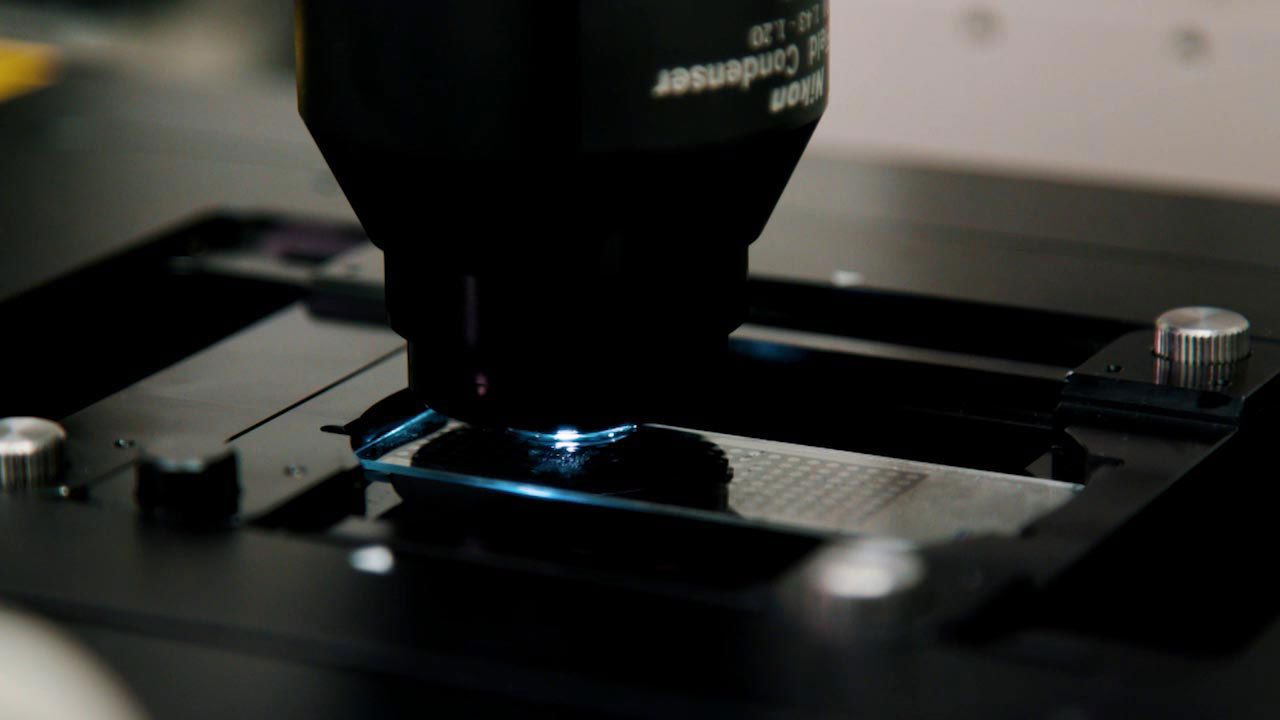 Catalyst: Researchers developing cell phone microscope - Arizona PBS