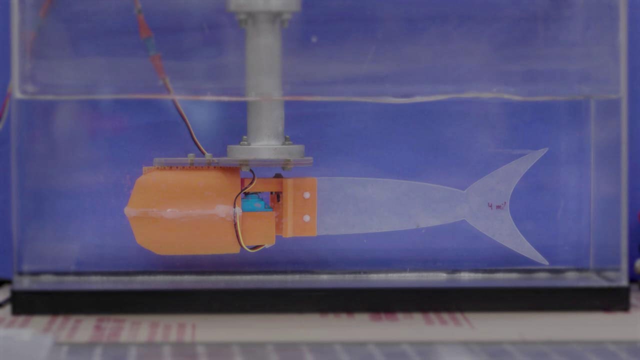 Catalyst: Keeping the water flowing with robotic fish - Arizona PBS