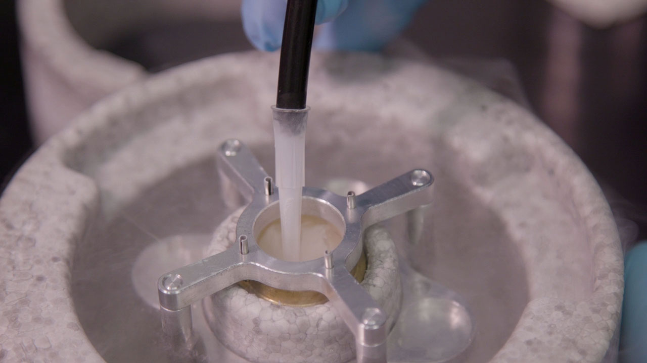 Catalyst: CryoEM snapshots - Arizona PBS