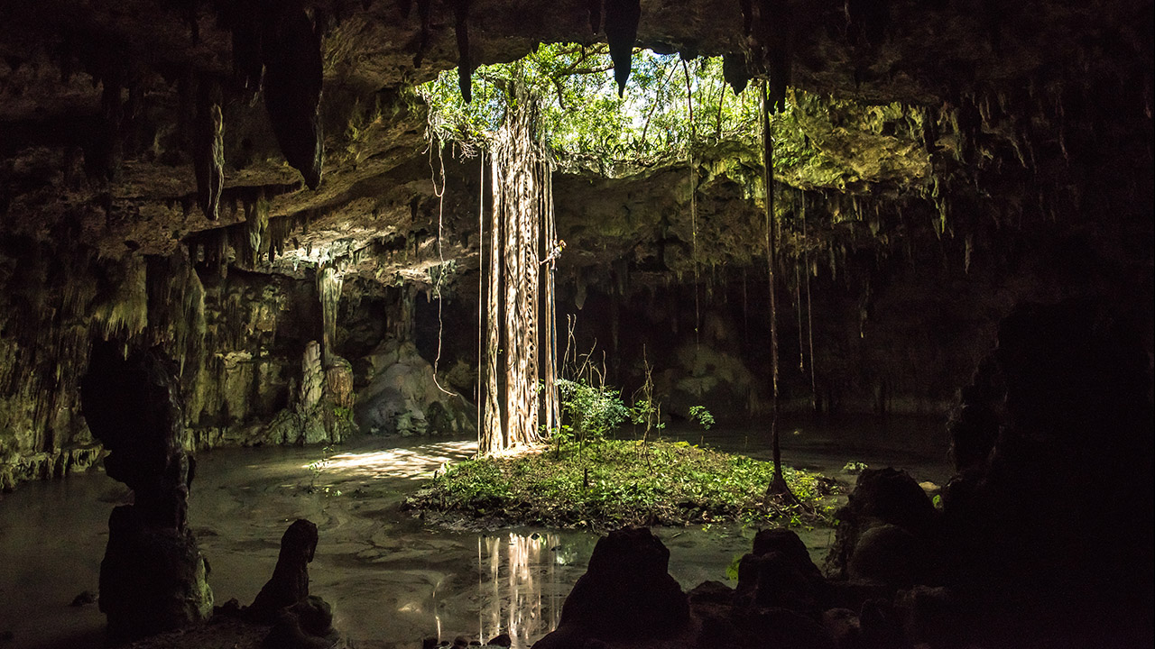 'Wonders of Mexico' takes you into the country's tropical rainforests ...