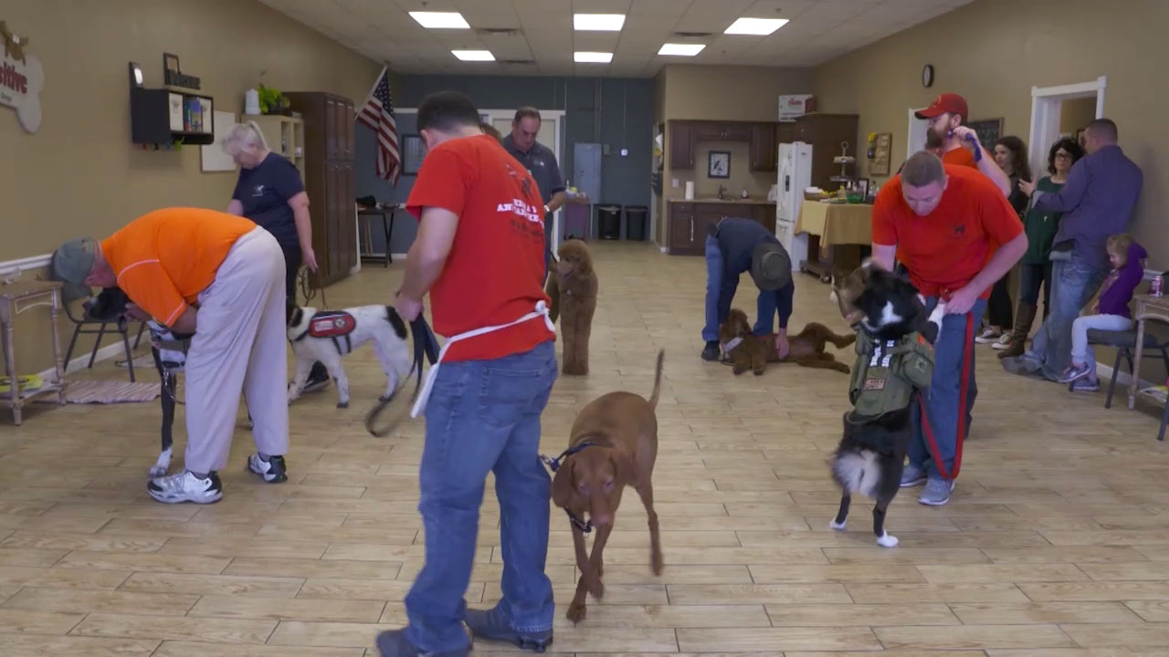 Dogs for Vets helps service members overcome PTSD - Arizona PBS