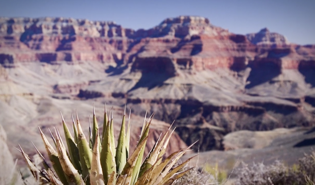 Arizona PBS Grand Canyon special - Arizona PBS