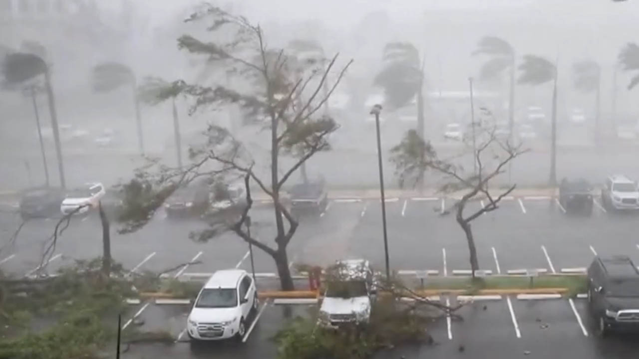 Catalyst: Social media and natural disasters - Arizona PBS