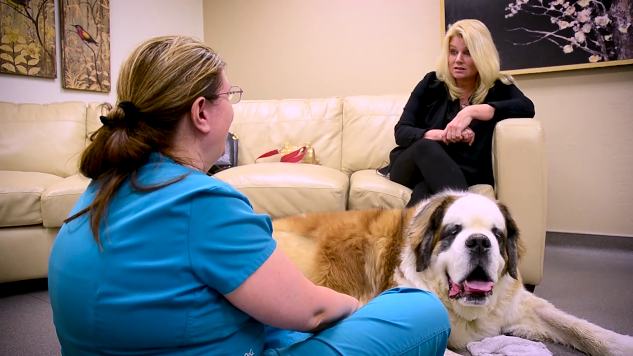 Dogs and Cancer Vaccine Research: A Catalyst Special - Arizona PBS