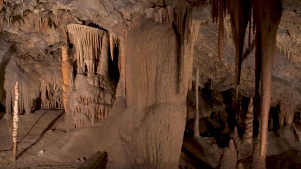 Catalyst: Earth's oxidation event - Arizona PBS