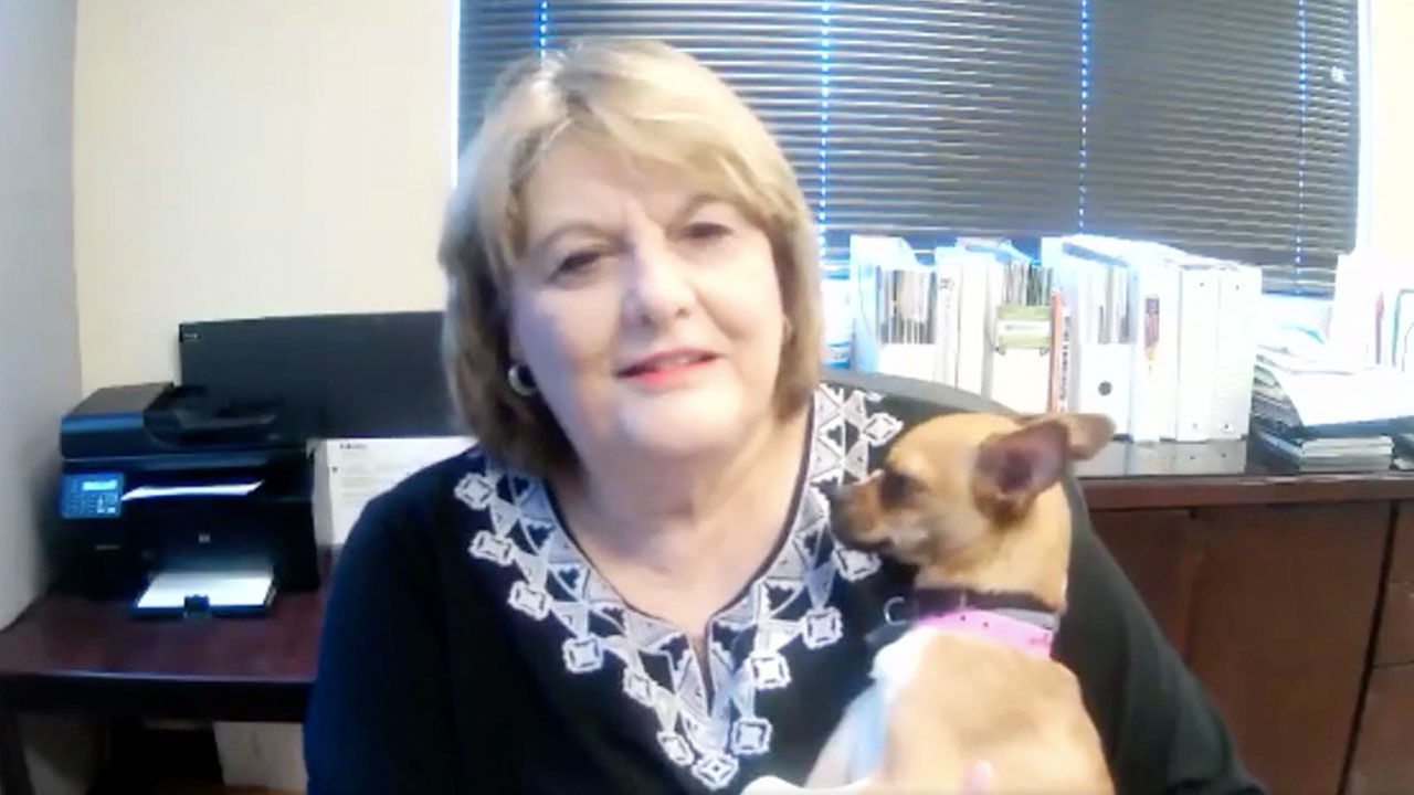 Find a furry friend during October's "Adopt A Dog" Month - Arizona PBS