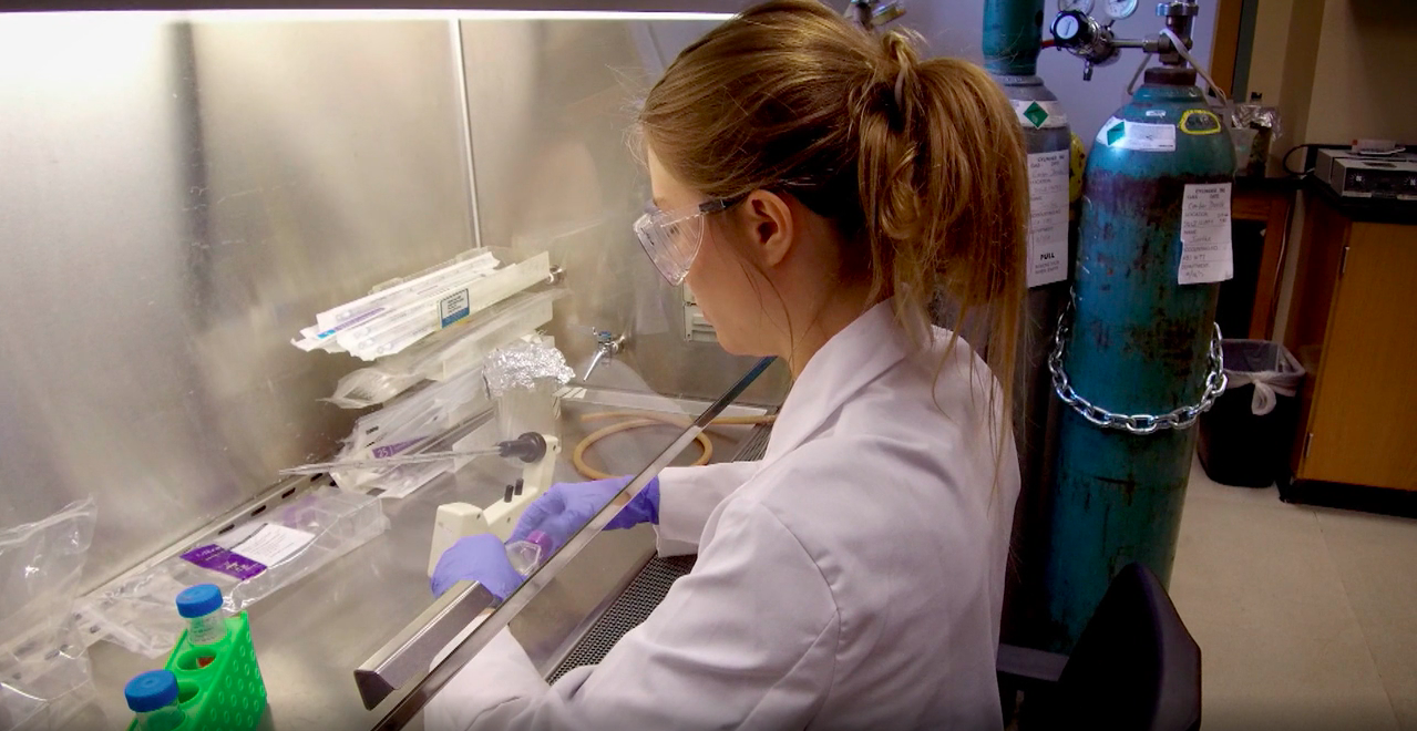 Catalyst: Drug treatment research with body receptors - Arizona PBS