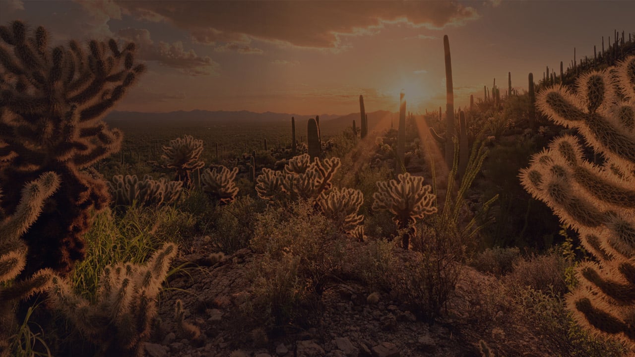 Trail Mix'd - Arizona PBS