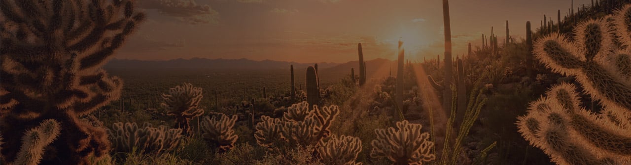 Trail Mix'd archive - Arizona PBS