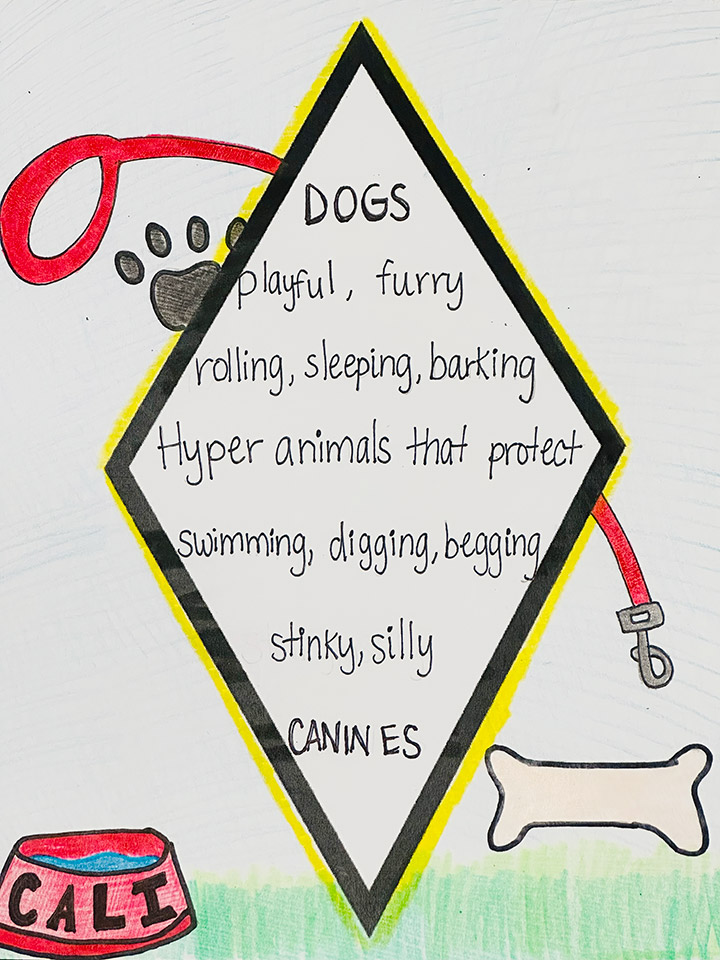 Celebrate National Poetry Month with a diamante poem activity for the ...