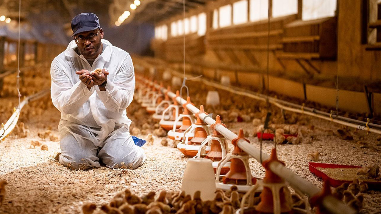 Human Footprint "Top Predator" - Arizona PBS