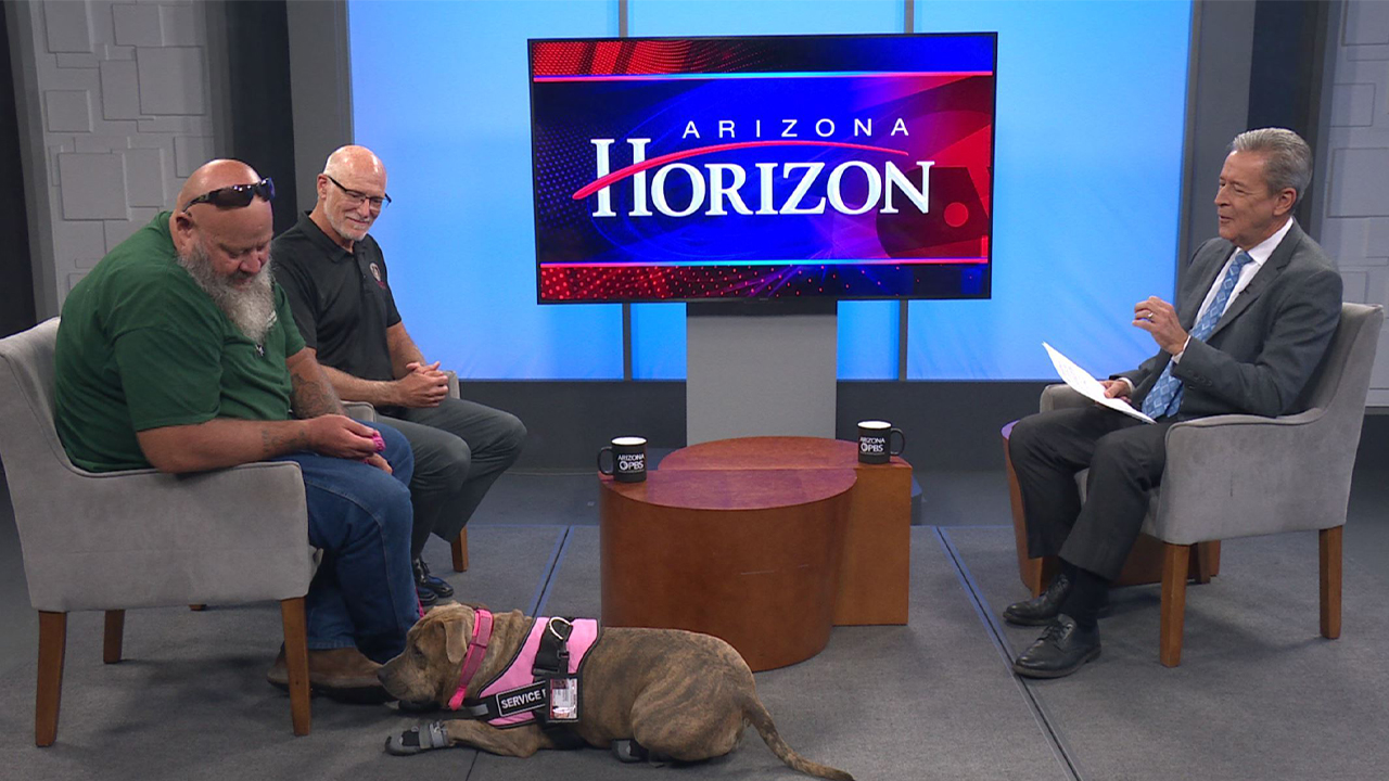 Soldier's Best Friend provides veterans with service dogs - Arizona PBS