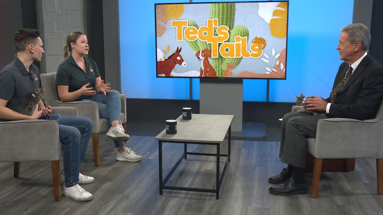 Arizona Humane Society teams up with veterinary students - Arizona PBS