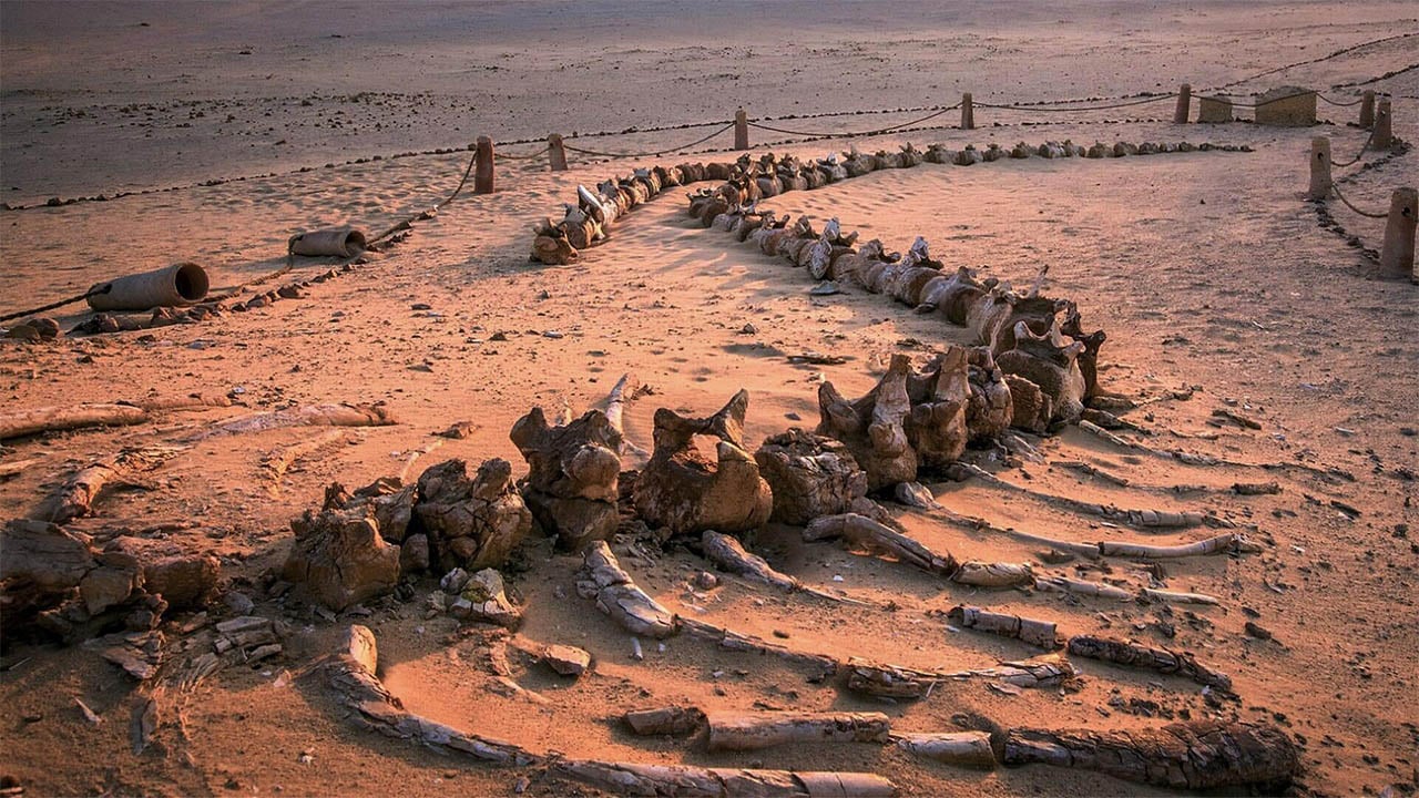 NOVA Season 51 premiere - Arizona PBS