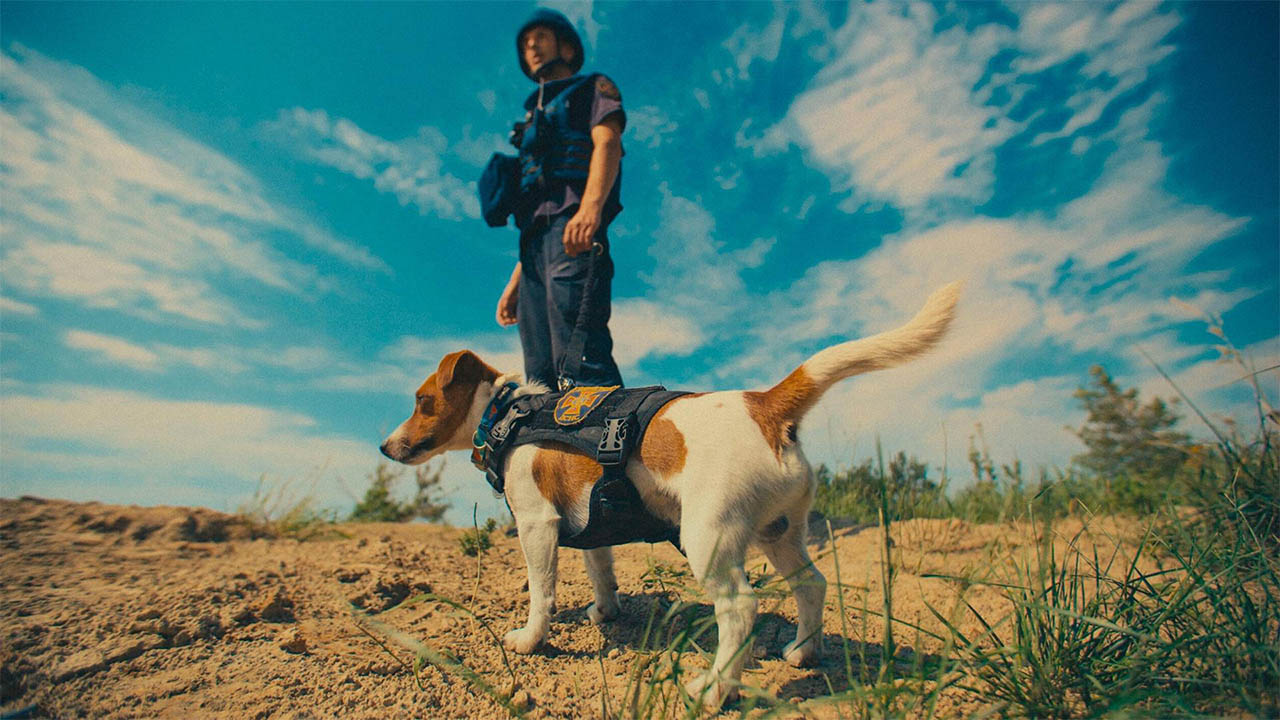 Nature: Saving the Animals of Ukraine - Arizona PBS