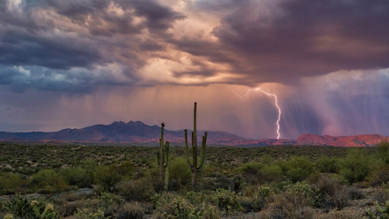 Protect My Public Media - Arizona PBS