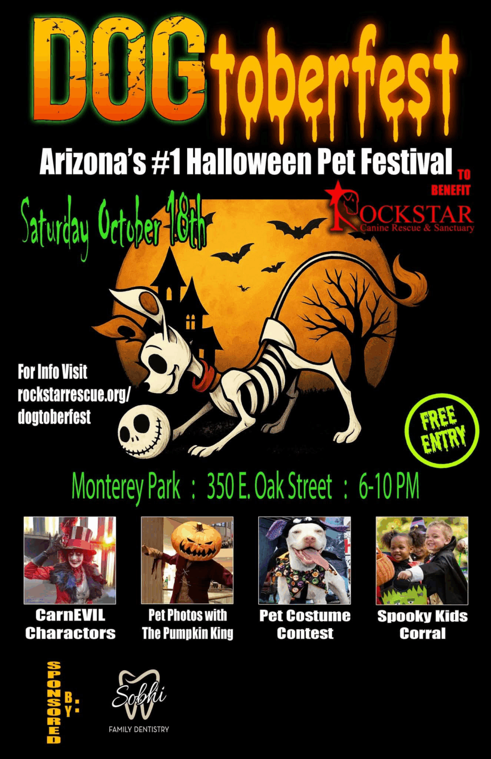 Rockstar Canine Rescue gives at-risk dogs a second chance - Arizona PBS