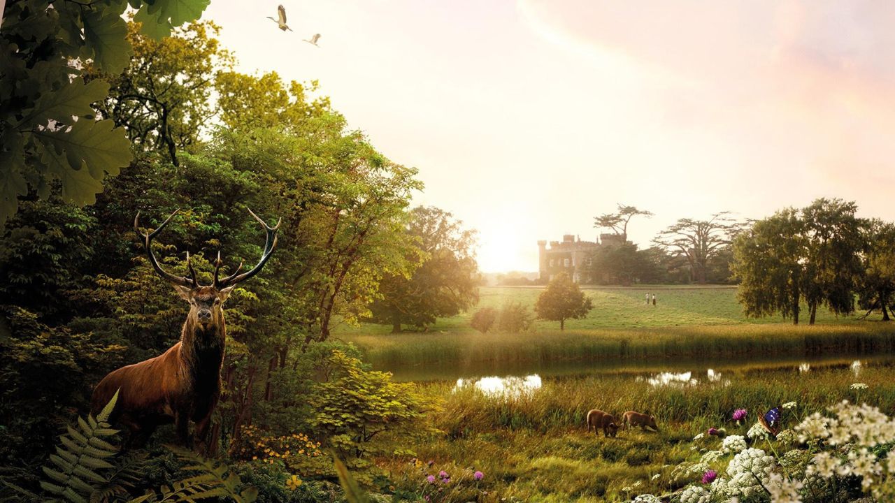 'Wilding:' A documentary of a couple who bet on the power of nature ...